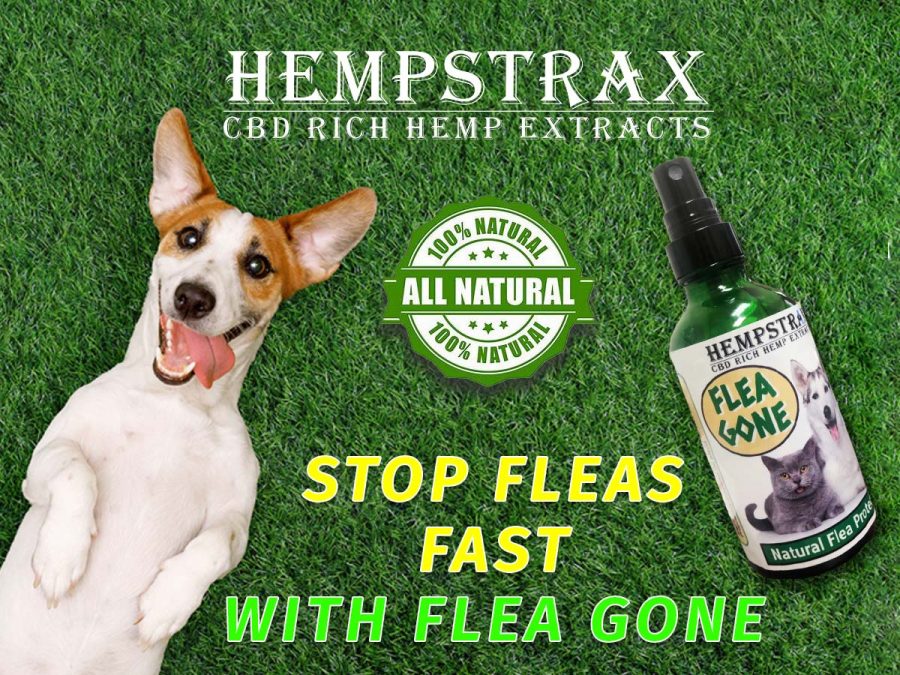 Hempstrax CBD Flea Gone For Pets - OC Wellness Solutions